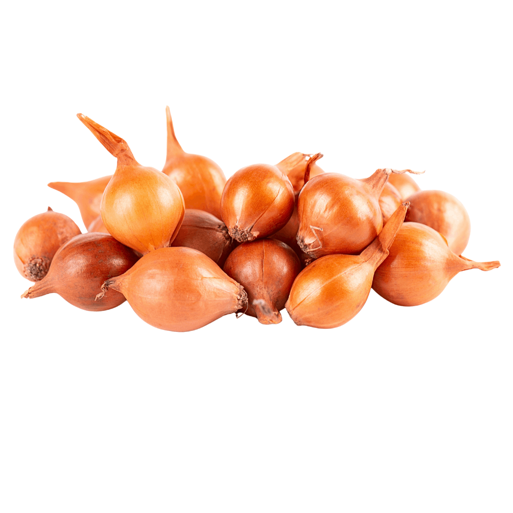 Pearl Onions Creamy Pearl Onions An Easy Side Sprinkles And